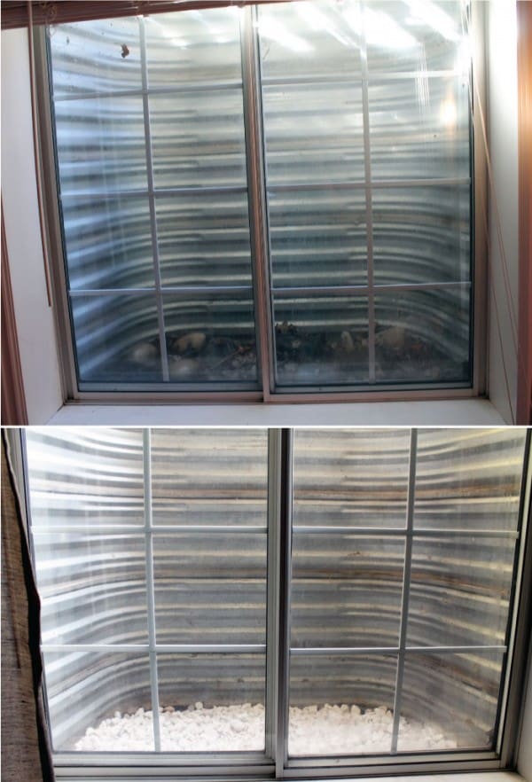Exterior Maintenance: Clean and Brighten those Window Wells - Chris ...