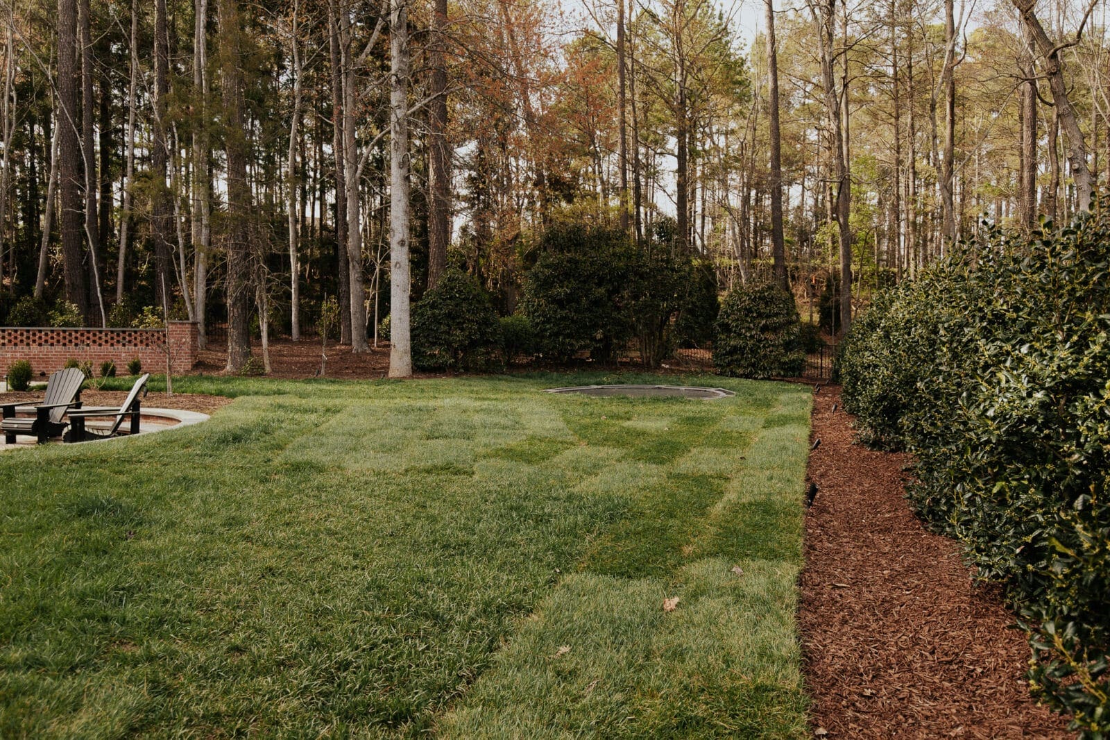 What's Been Going on With the Landscaping? - Chris Loves Julia