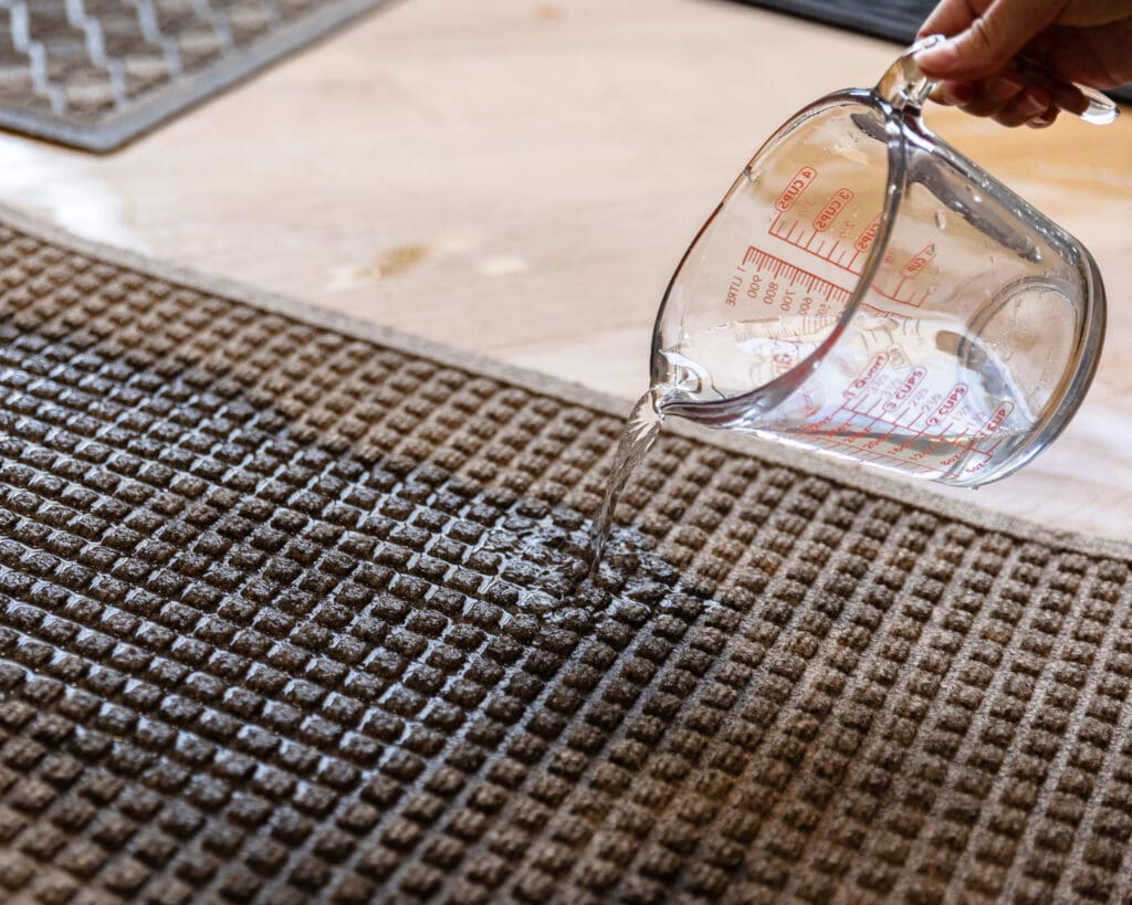 The Ultimate Test: The Best Waterproof Doormats - Chris Loves Julia