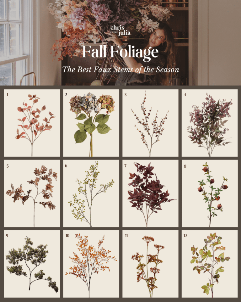 My Favorite Fall Stems This Year - Chris Loves Julia
