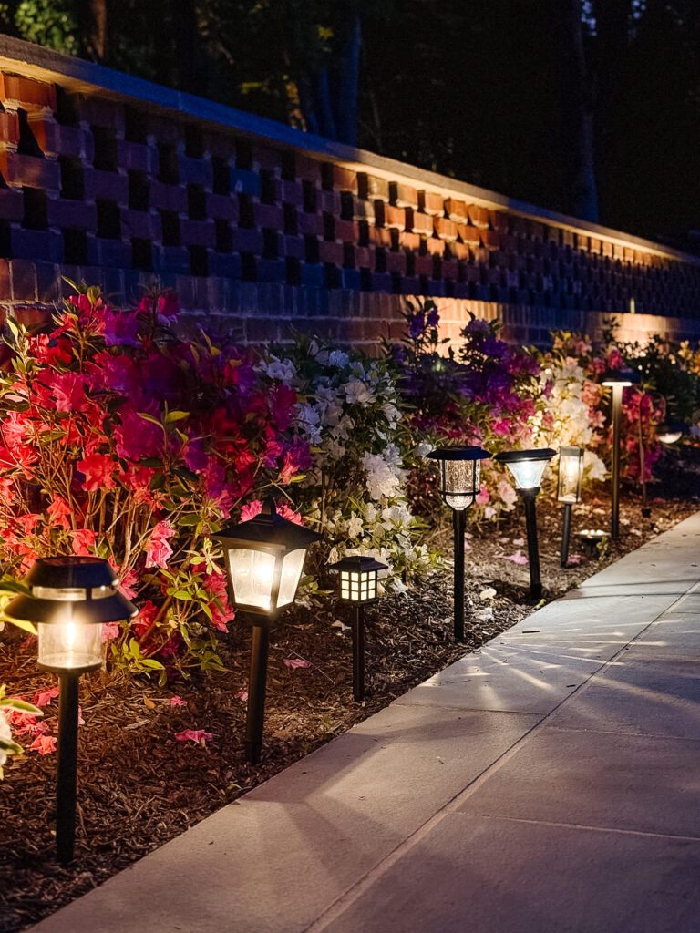 We Tested 10 Solar Path Lights to Find the Perfect Glow - Chris Loves Julia